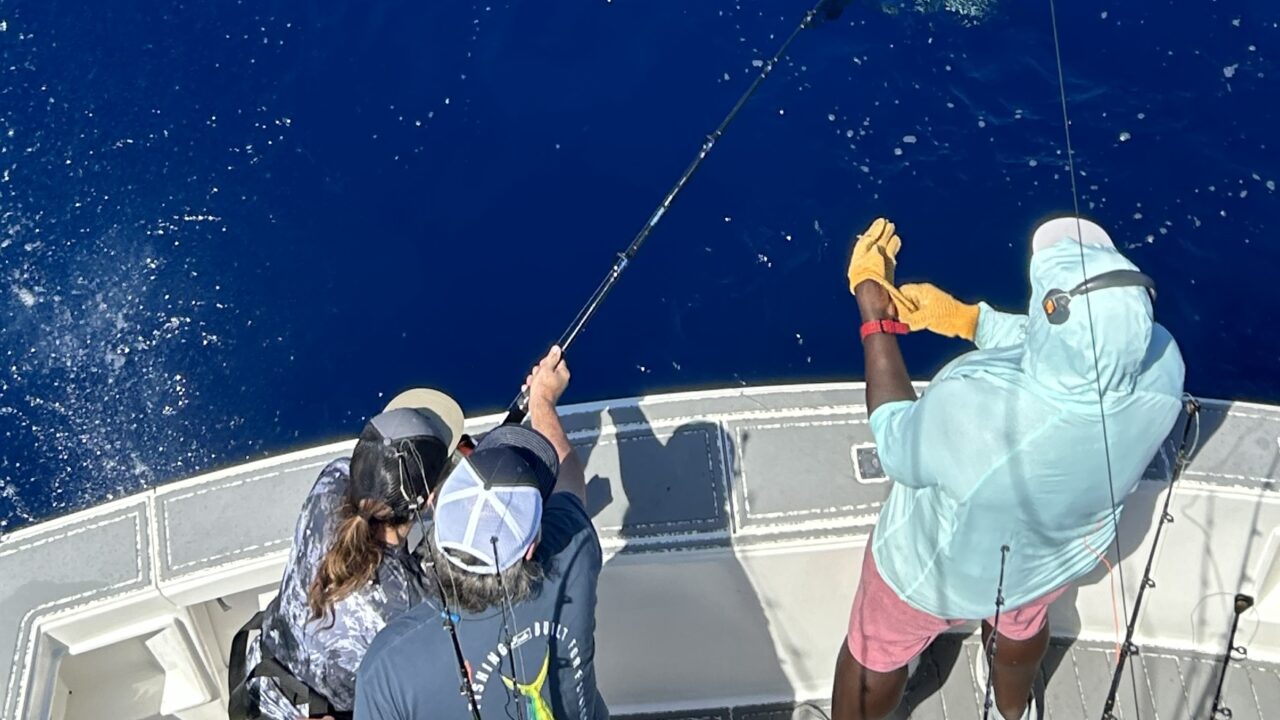 Quepos Costa Rica Fishing Charters | Offshore, FAD, Multi-Days